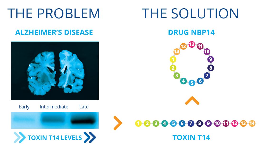 Novel Drug from Neuro-Bio effective in a mouse model of Alzheimer's ...